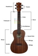 Ukulele Tutorial For Complete Beginners 10 Tips