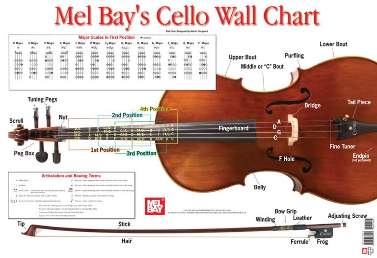 Mastering The Basics: Essential Cello Techniques For Beginners - Achyutaya