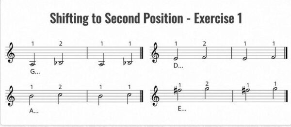 Essential Bowing And Left-Hand Techniques For Violinists - Achyutaya