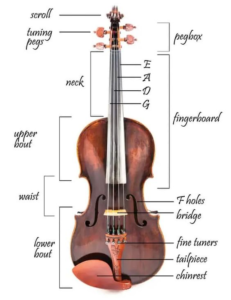 Violin Playing Tips For Beginners: A Step-by-Step Guide - Achyutaya
