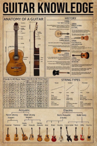 Understanding The Basics: An Introduction To Guitar Anatomy - Achyutaya