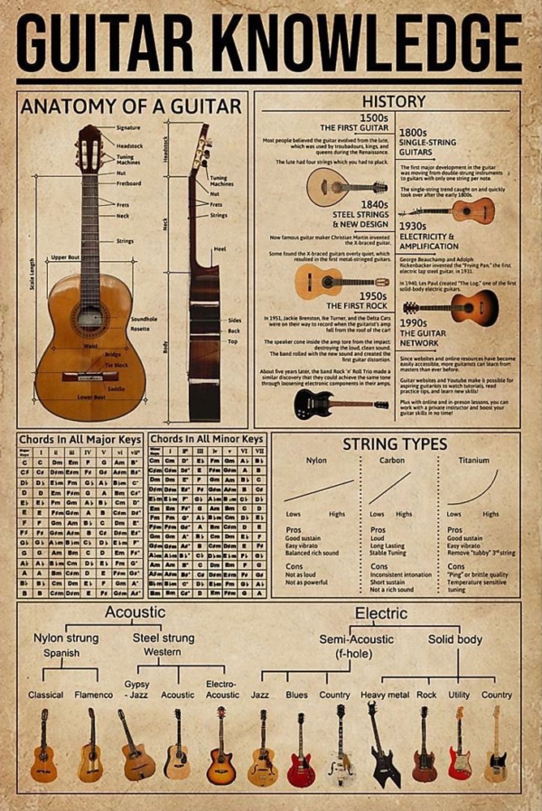 Understanding The Basics: An Introduction To Guitar Anatomy - Achyutaya