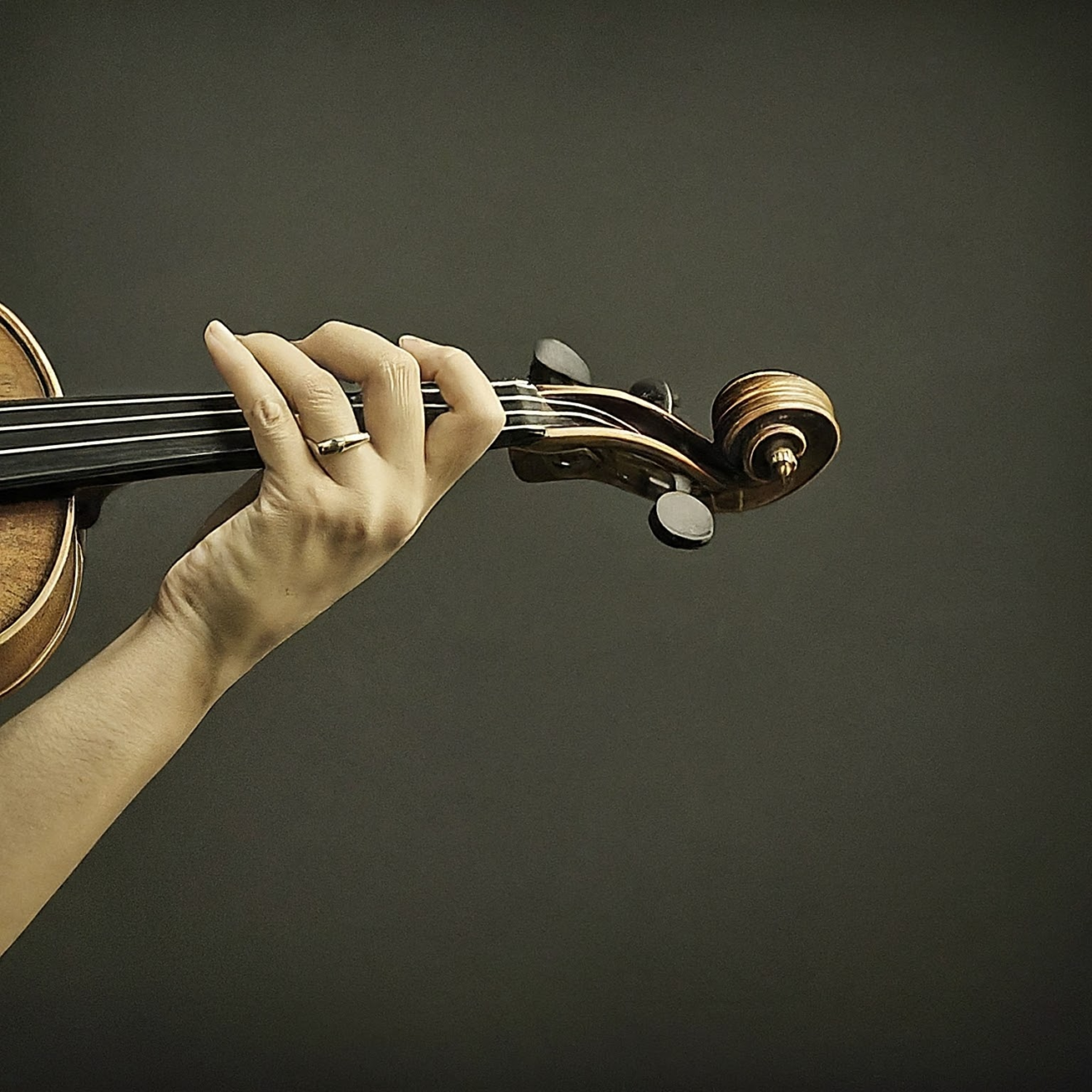 Essential Bowing And Left-Hand Techniques For Violinists - Achyutaya